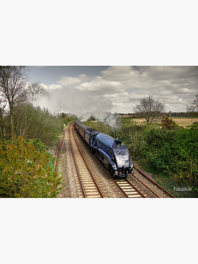 "Sir Nigel in Devon " Sticker by hawkie | Redbubble