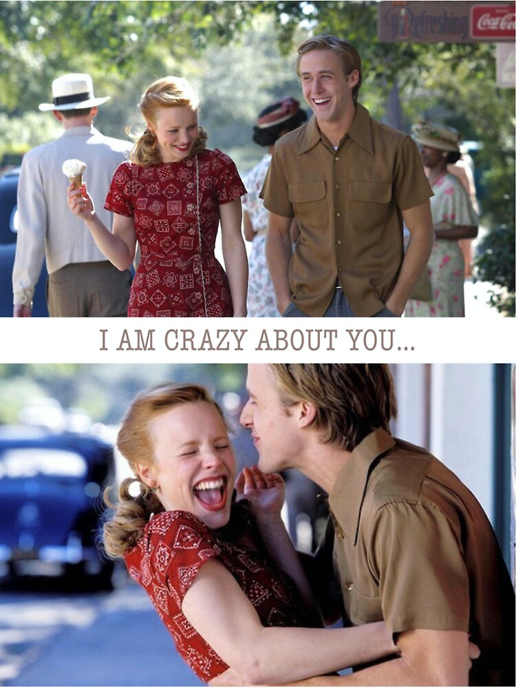 "The Notebook" Sticker by Lovelychestnut3 | Redbubble