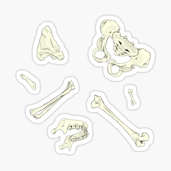 "Bone Bits" Sticker for Sale by feralmercies | Redbubble