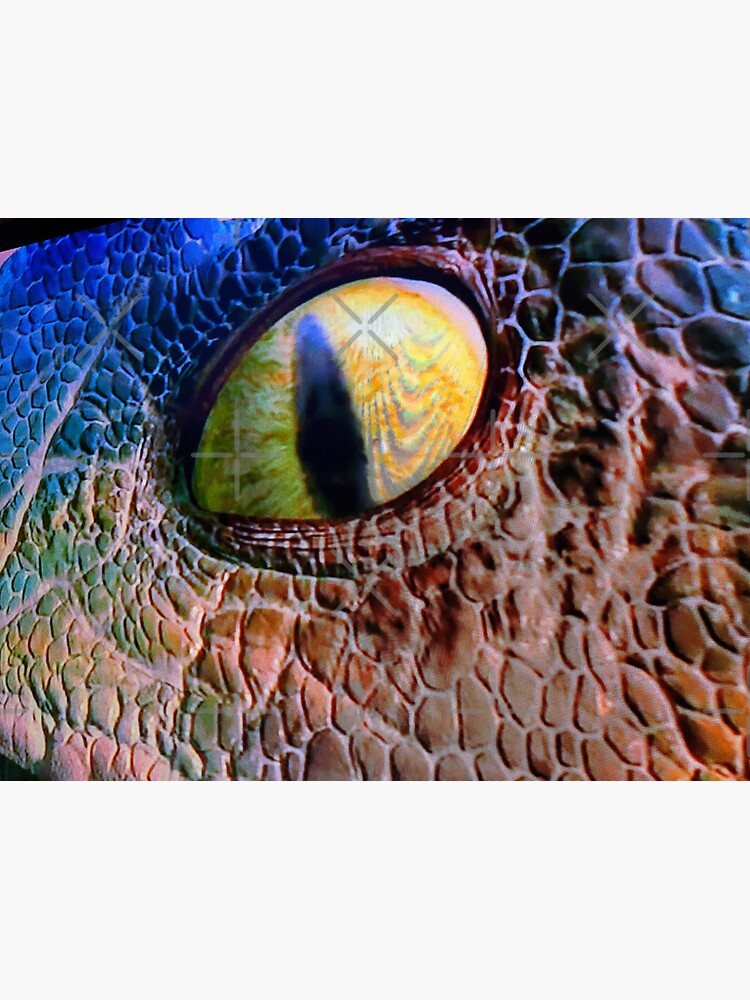 "Dino_Eye" Sticker for Sale by Beataagnes | Redbubble