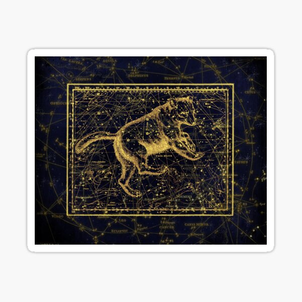 "Ursa Major" Sticker by raphaelpn | Redbubble
