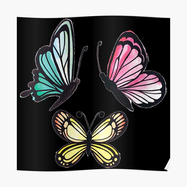 "elizabeth butterflies collection drawing" Poster by RB-Store | Redbubble