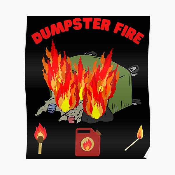 "Dumpster fire, dumpster, fire, funny, trash, 2020, fine, disaster ...