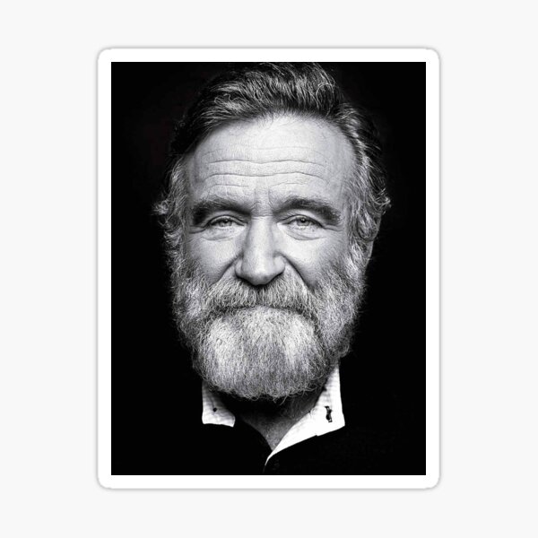 "Robin Williams" Sticker for Sale by rencraft7 | Redbubble