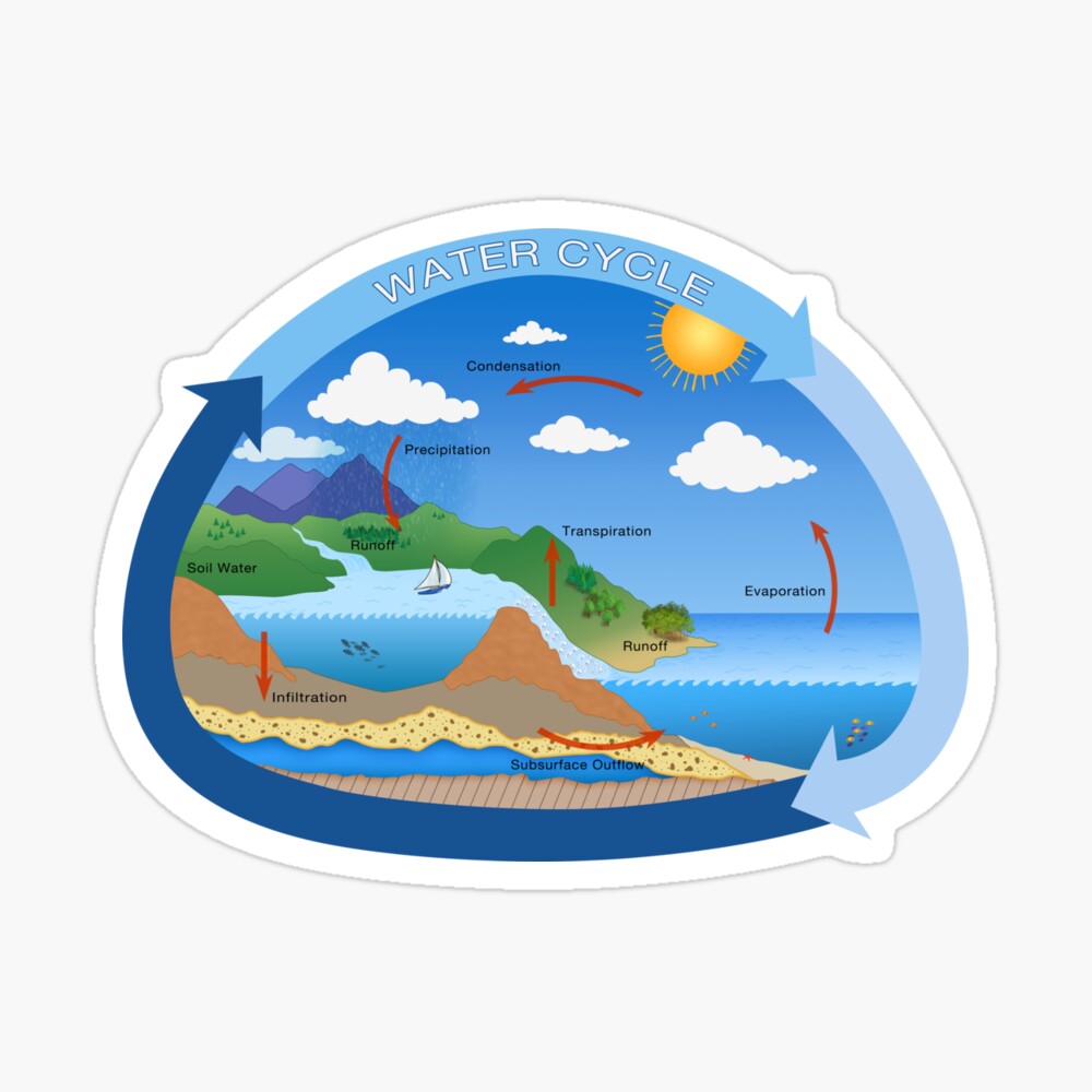 Stationery Science Postcard Water Cycle Postcards etna.com.pe