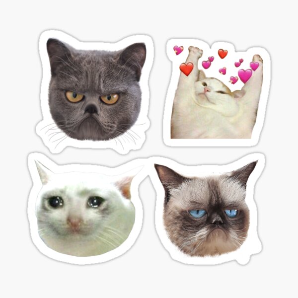 "Funny cat memes" Sticker by ismailalrawi | Redbubble