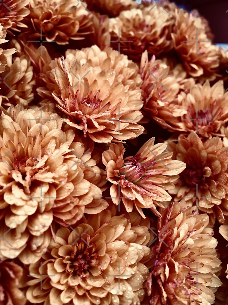 "Burnt Orange Flowers" Sticker for Sale by samrolo | Redbubble