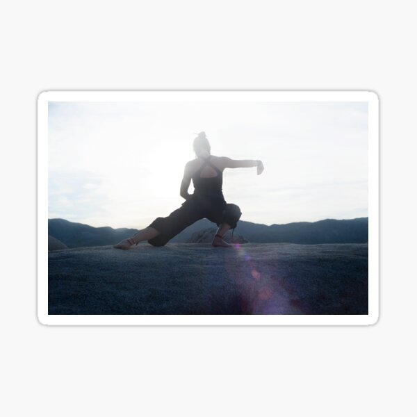 "Qi Gong " Sticker for Sale by ElenaRay | Redbubble