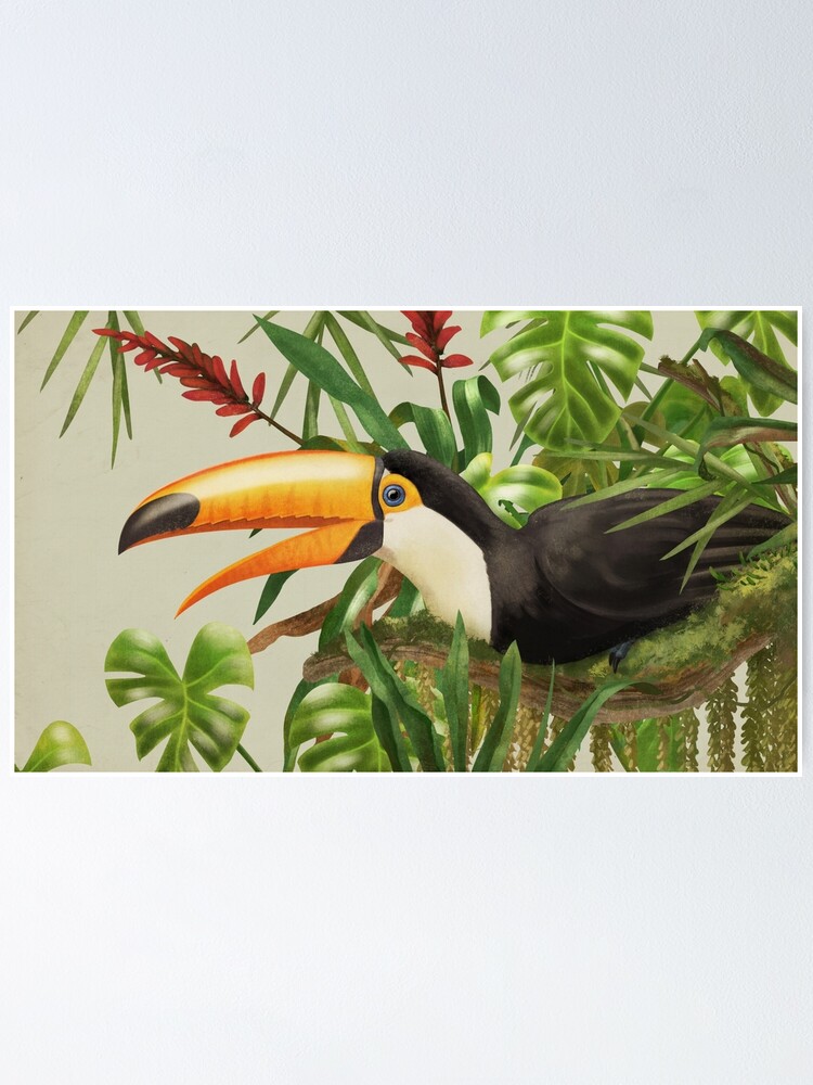 "Toco Toucan" Poster by ikerpazstudio | Redbubble