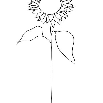 "Sunflower Fine Line Drawing Print" Photographic Print for Sale by ...