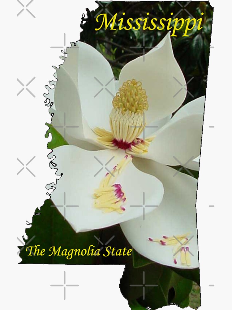 "Mississippi Map with State Nickname: The Magnolia State" Sticker for ...