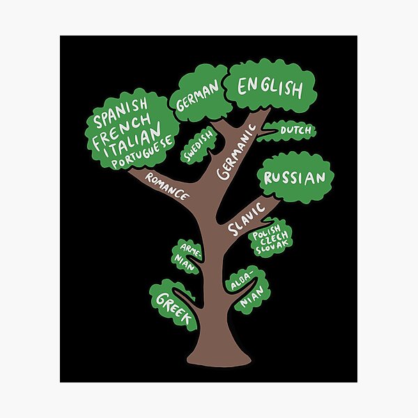 "Language Tree - Linguistic Graphic (Linguist design) - Germanic Slavic ...