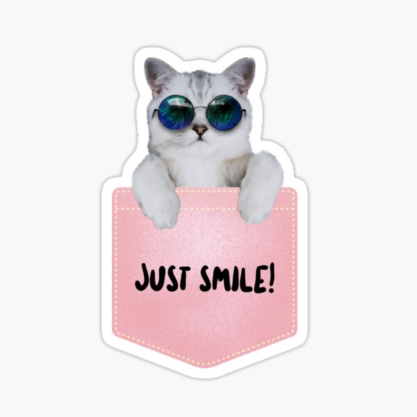 "Just Smile" Sticker for Sale by caruanam | Redbubble