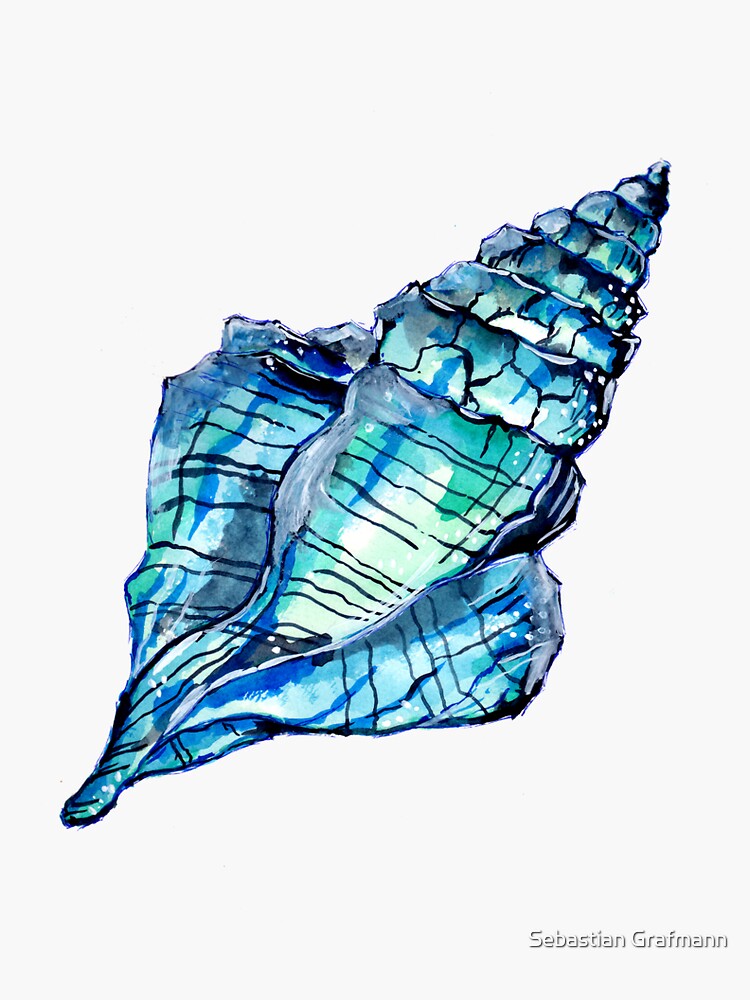 "Blue Conch Sea Shell" Sticker by Zeichenbloq | Redbubble