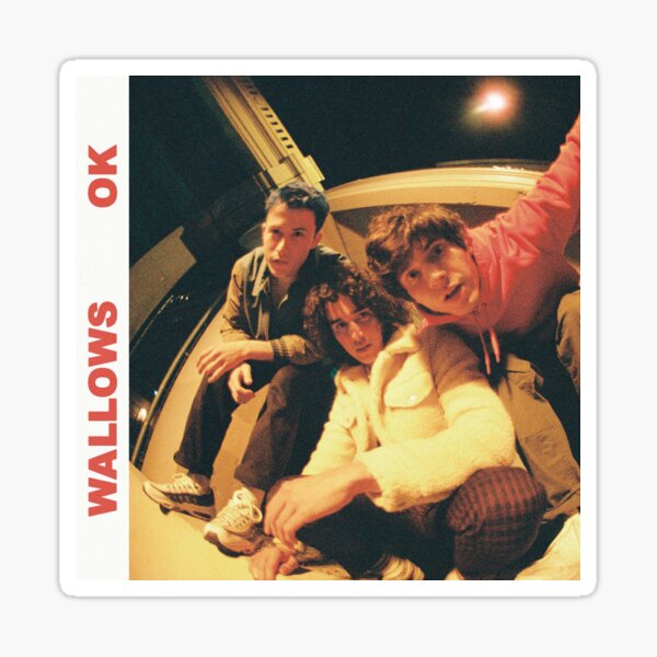 "wallows" Sticker by annabell200 | Redbubble