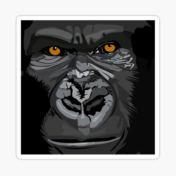 "Silverback gorilla face" Sticker for Sale by rampad1 | Redbubble