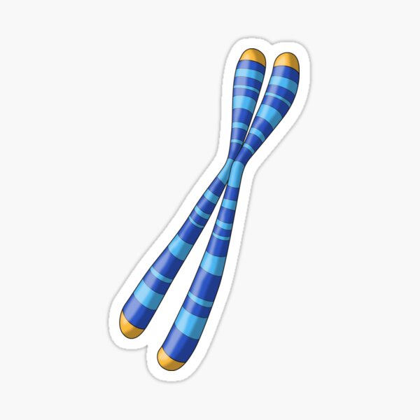 "Chromosome with Telomeres at the ends" Sticker for Sale by ...