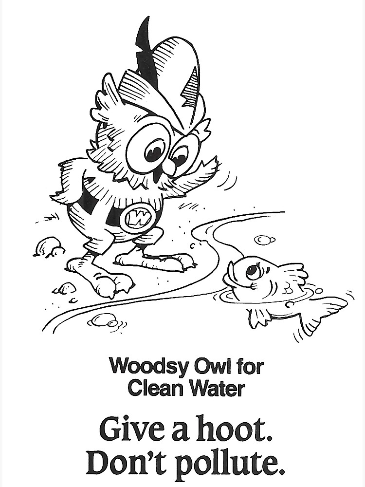 "Woodsy Owl Give a Hoot. Don't Pollute." Poster for Sale by scohoe | Redbubble