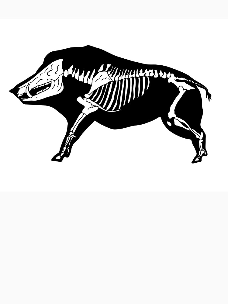 "WILD BOAR ANATOMY Skeleton and skull of wild boar" T-shirt for Sale by ...
