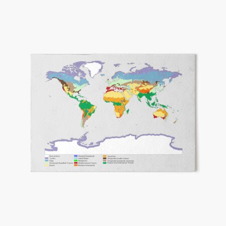 Lámina rígida «Mapa mundial de cobertura los principales biomas del ...