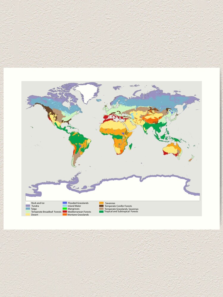 "World map of coverage the main biomes in the world Terrestrial ...