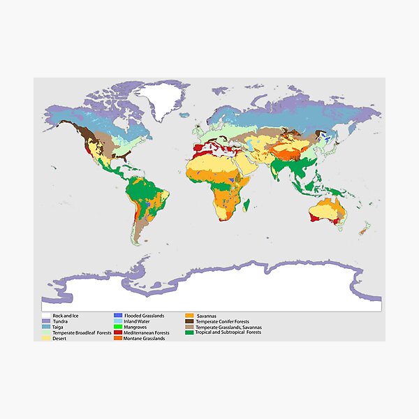 Lámina fotográfica «Mapa mundial de cobertura los principales biomas ...