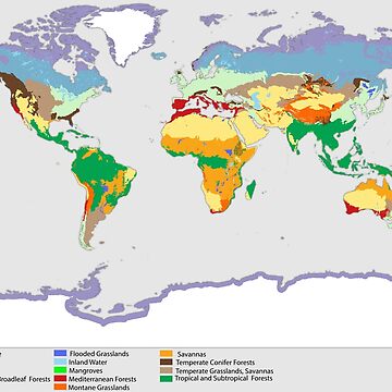 Póster for Sale con la obra «Mapa mundial de cobertura los principales ...