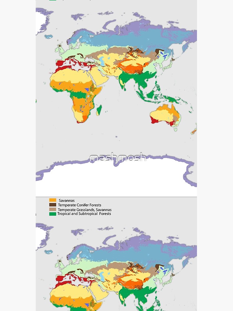 Bolsa deportiva «Mapa mundial de cobertura los principales biomas del ...