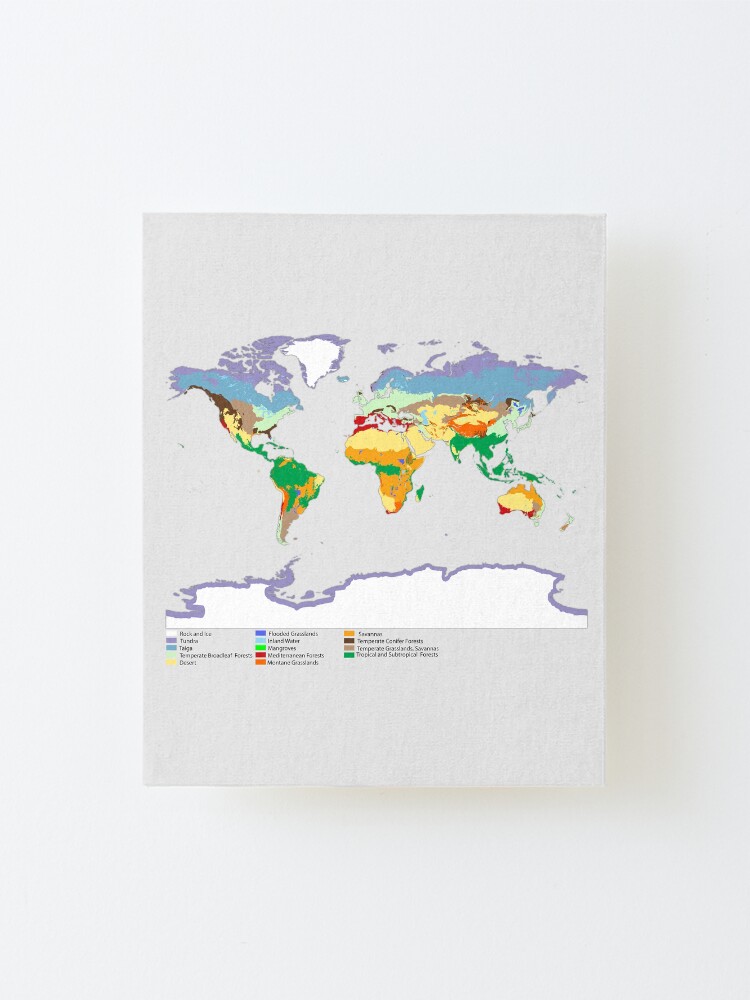 "World map of coverage the main biomes in the world Terrestrial ...
