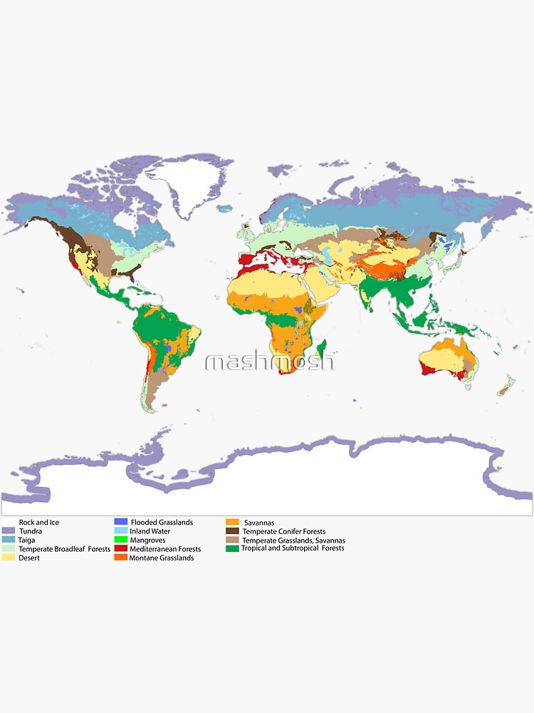 Pegatina «Mapa mundial de cobertura los principales biomas del mundo ...