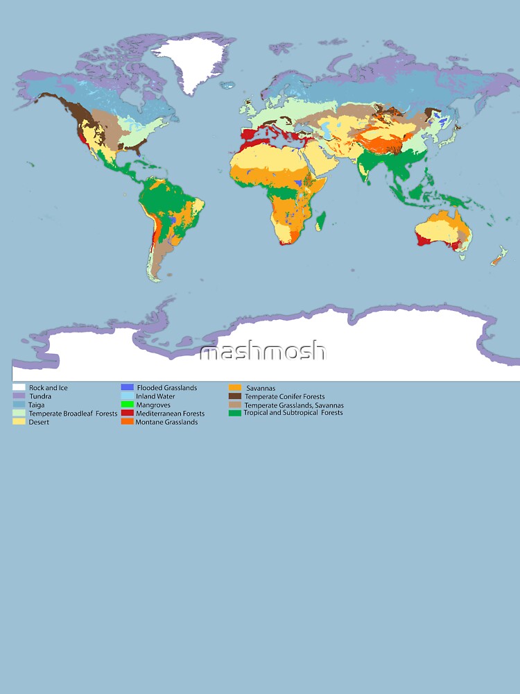 "World map of coverage the main biomes in the world Terrestrial ...