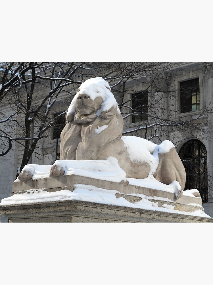 "New York Public Library Lion" Poster for Sale by Ffooter | Redbubble