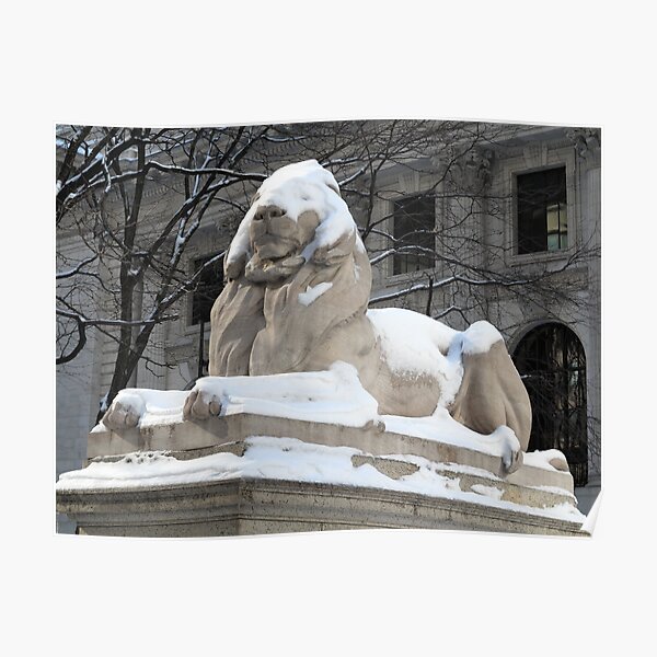 "New York Public Library Lion" Poster for Sale by Ffooter | Redbubble