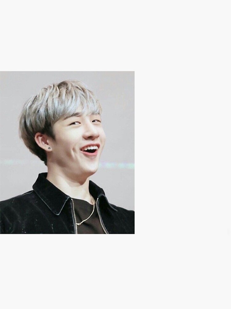 "Bang Chan" Sticker for Sale by love-101 | Redbubble