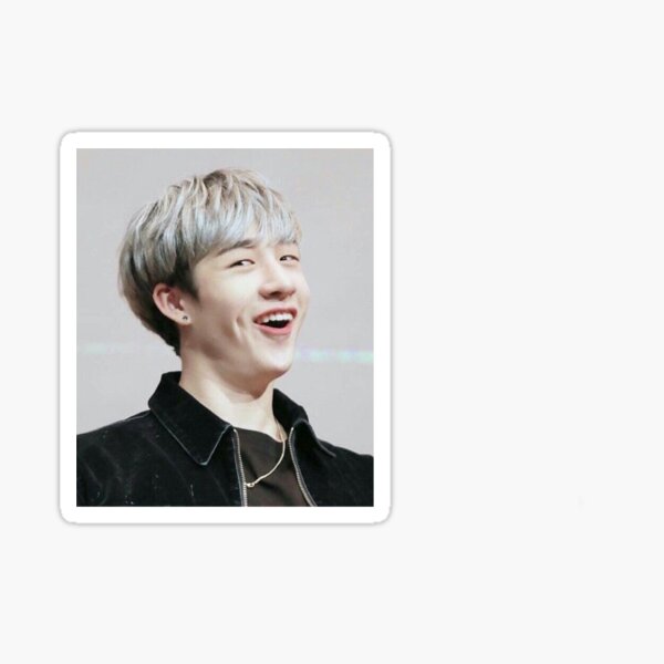 "Bang Chan" Sticker for Sale by love-101 | Redbubble
