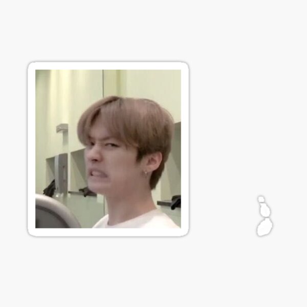 "Lee Know" Sticker for Sale by love-101 | Redbubble