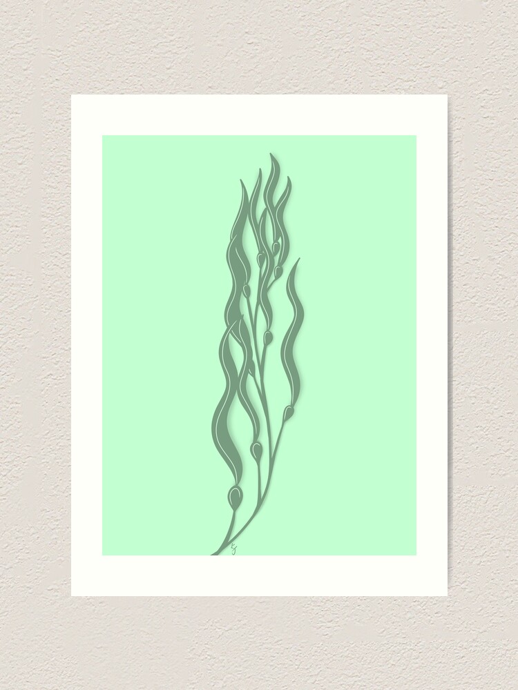 "Simple Kelp" Art Print by sorioffantasy | Redbubble