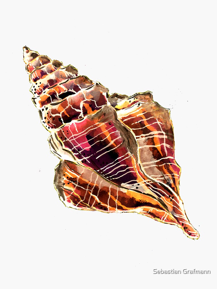 "Bronze Conch Shell" Sticker for Sale by Zeichenbloq | Redbubble