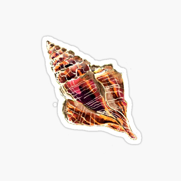 "Bronze Conch Shell" Sticker for Sale by Zeichenbloq | Redbubble