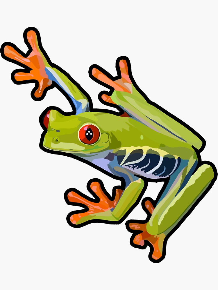 "Red Eyed Tree Frog Sticker" Sticker by Ebennz | Redbubble