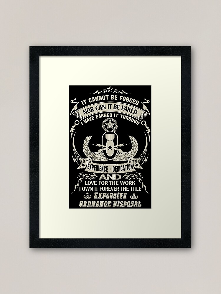 "Air Force explosive ordnance disposal Bomb Disposal Eod explosive or ...