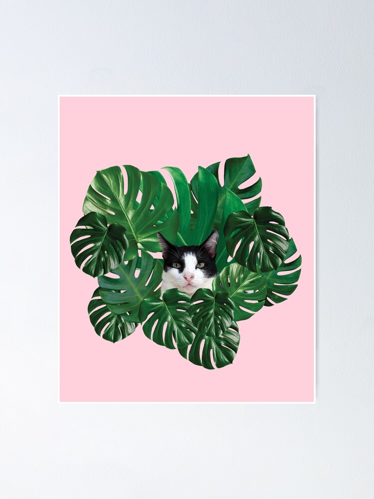 Póster «Lindo gato esmoquin y hojas de Monstera» de leBoosh-Designs ...