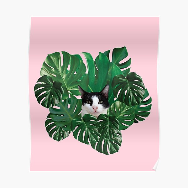 Póster «Lindo gato esmoquin y hojas de Monstera» de leBoosh-Designs ...