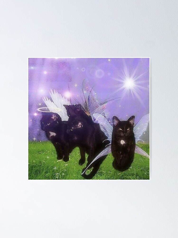 "y2k cats" Poster for Sale by sabrinamerg | Redbubble