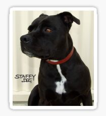 Staffy: Stickers | Redbubble