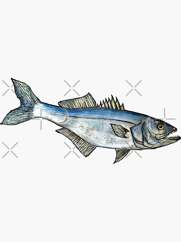 " Snapper Bluefish Drawing - Dark Blue Sea" Sticker by Michelebuttons ...