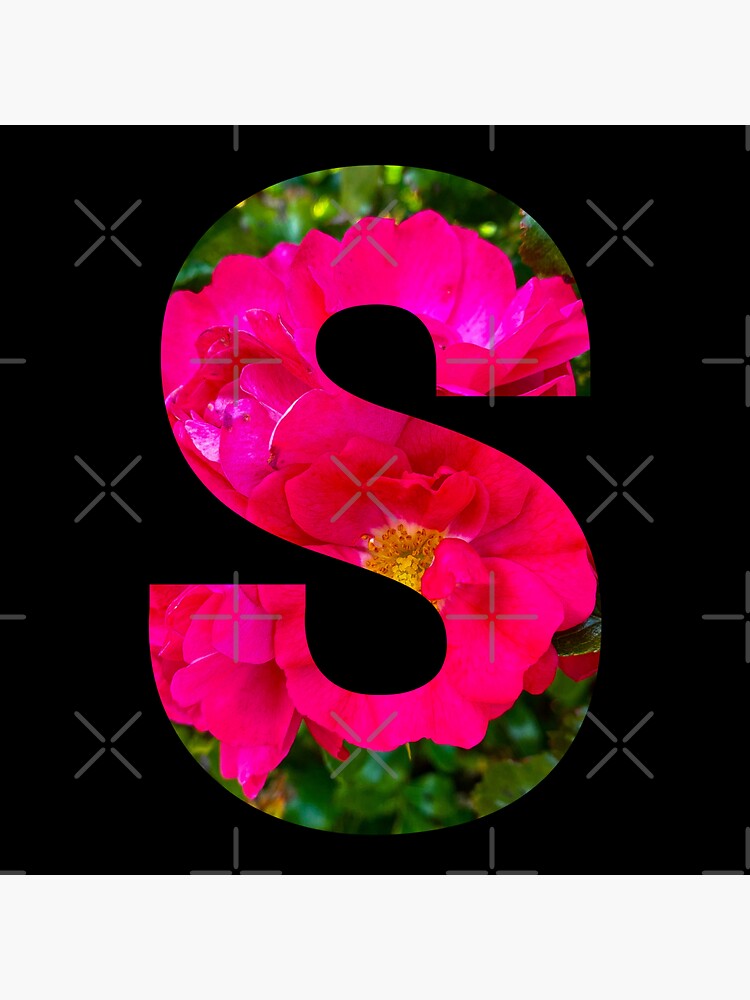 "Bright Pink Rose Monogram - The Letter S With Black Background ...