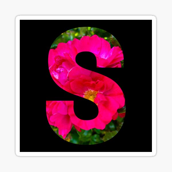 "Bright Pink Rose Monogram - The Letter S With Black Background ...