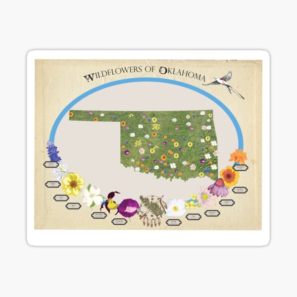 "Wildflowers of Oklahoma" Sticker for Sale by CrossTimberMap | Redbubble