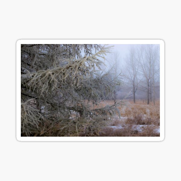 "Winter fog" Sticker for Sale by CanadianWild418 | Redbubble